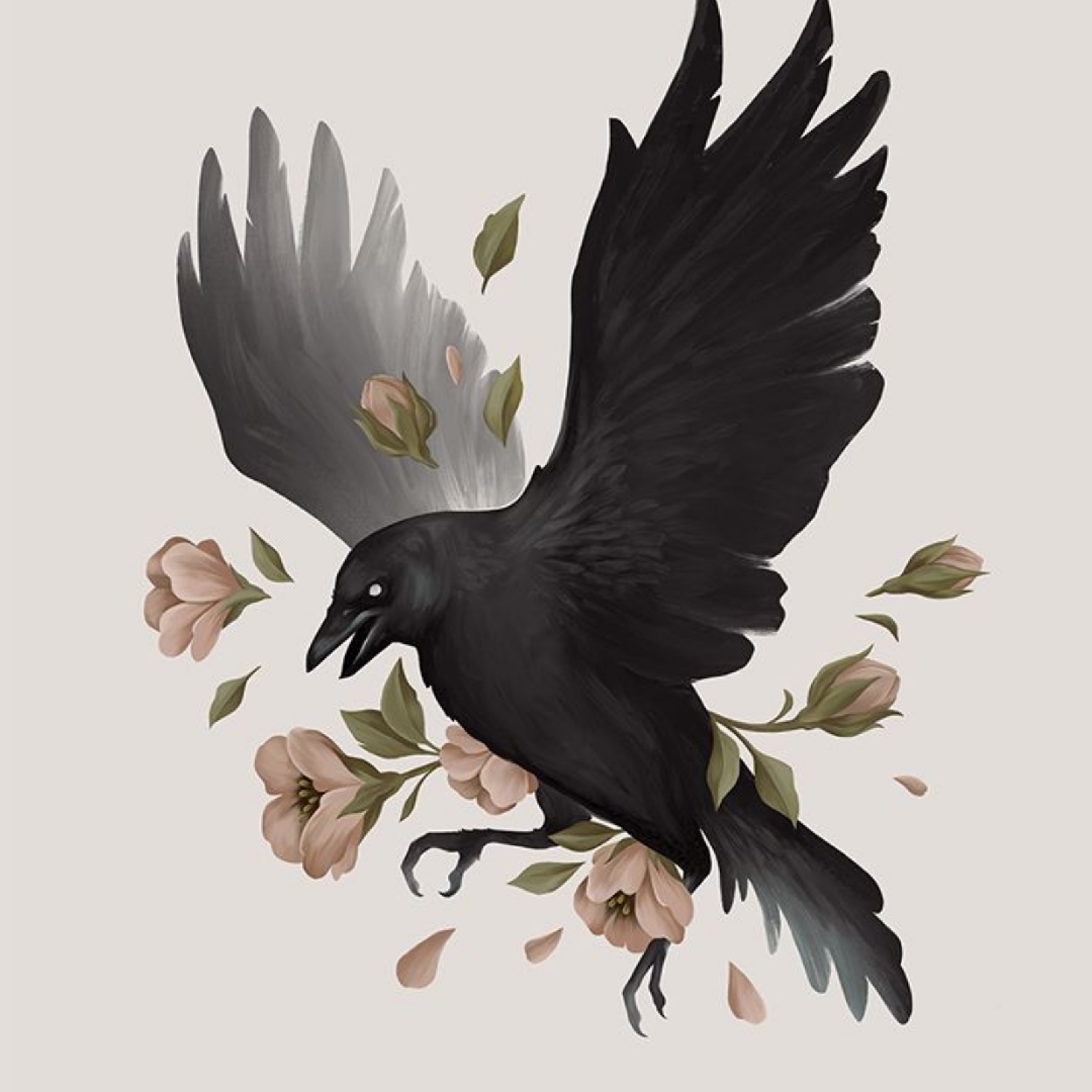 -[Daisy Crow]- | WEBTOON