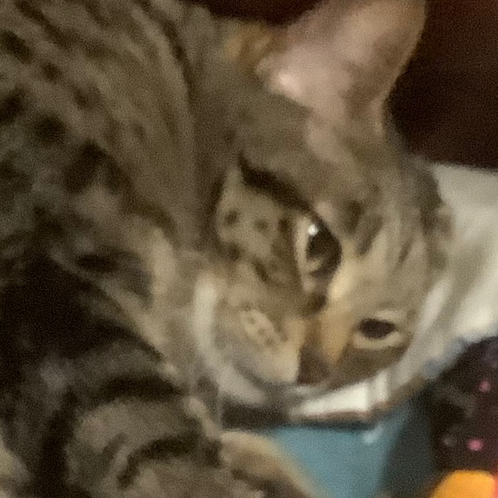 Crystal moonlight Xx | WEBTOON