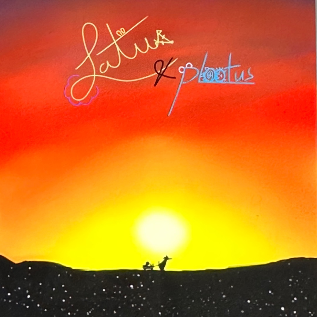 Latus&Plootus | WEBTOON