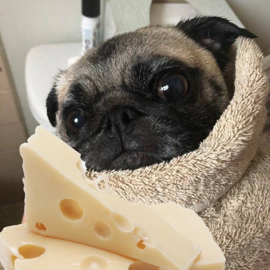 Cheesy_Bean | WEBTOON