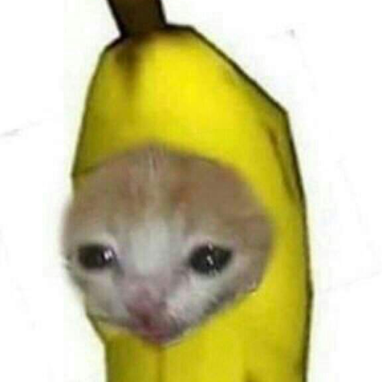 apoco_si_tilin🙀 | WEBTOON