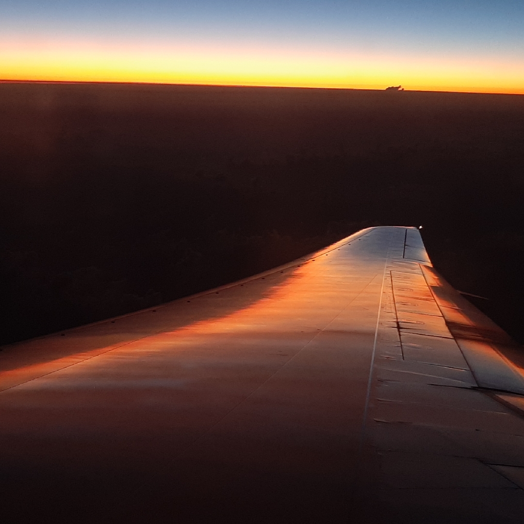 a wandering poet 🌱 | WEBTOON