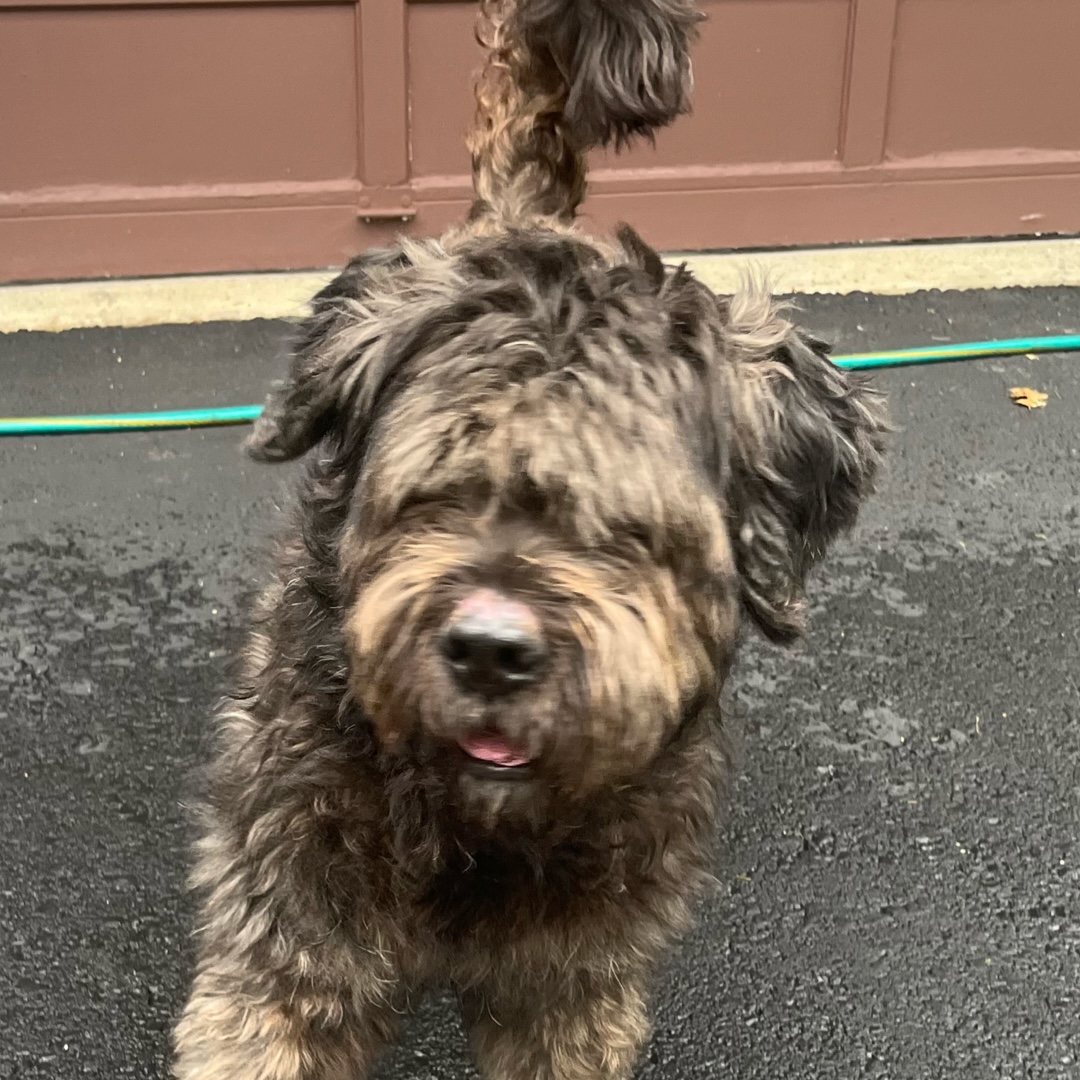 Forrealium | WEBTOON